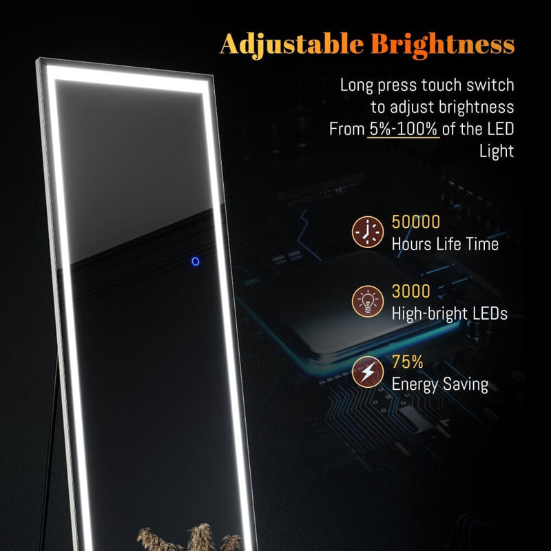 3 Color LED Light Full Length Dressing Mirror Wall Mounted Hanging